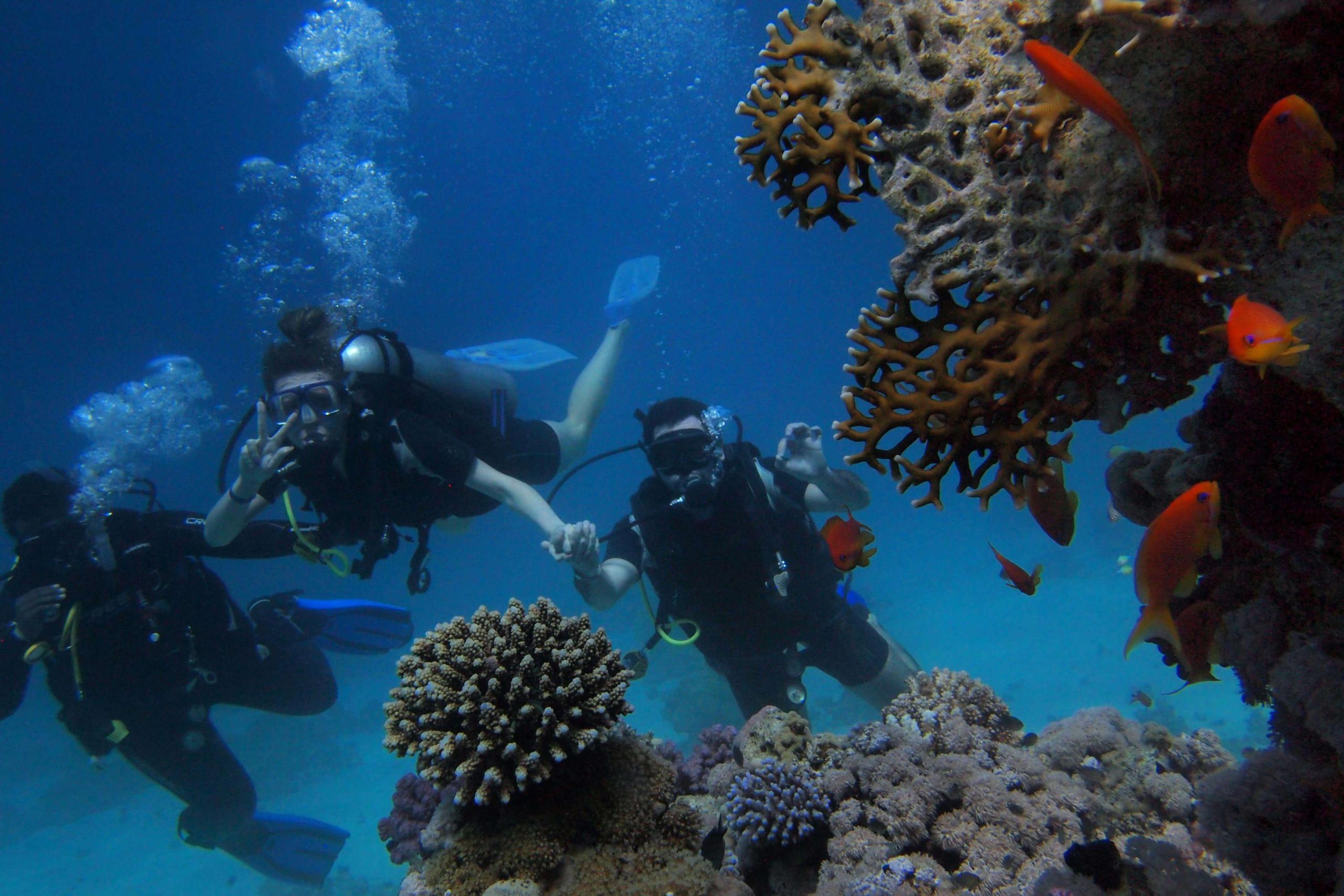 YELLOW BRICK ROAD BEACH DIVE | Scuba Star